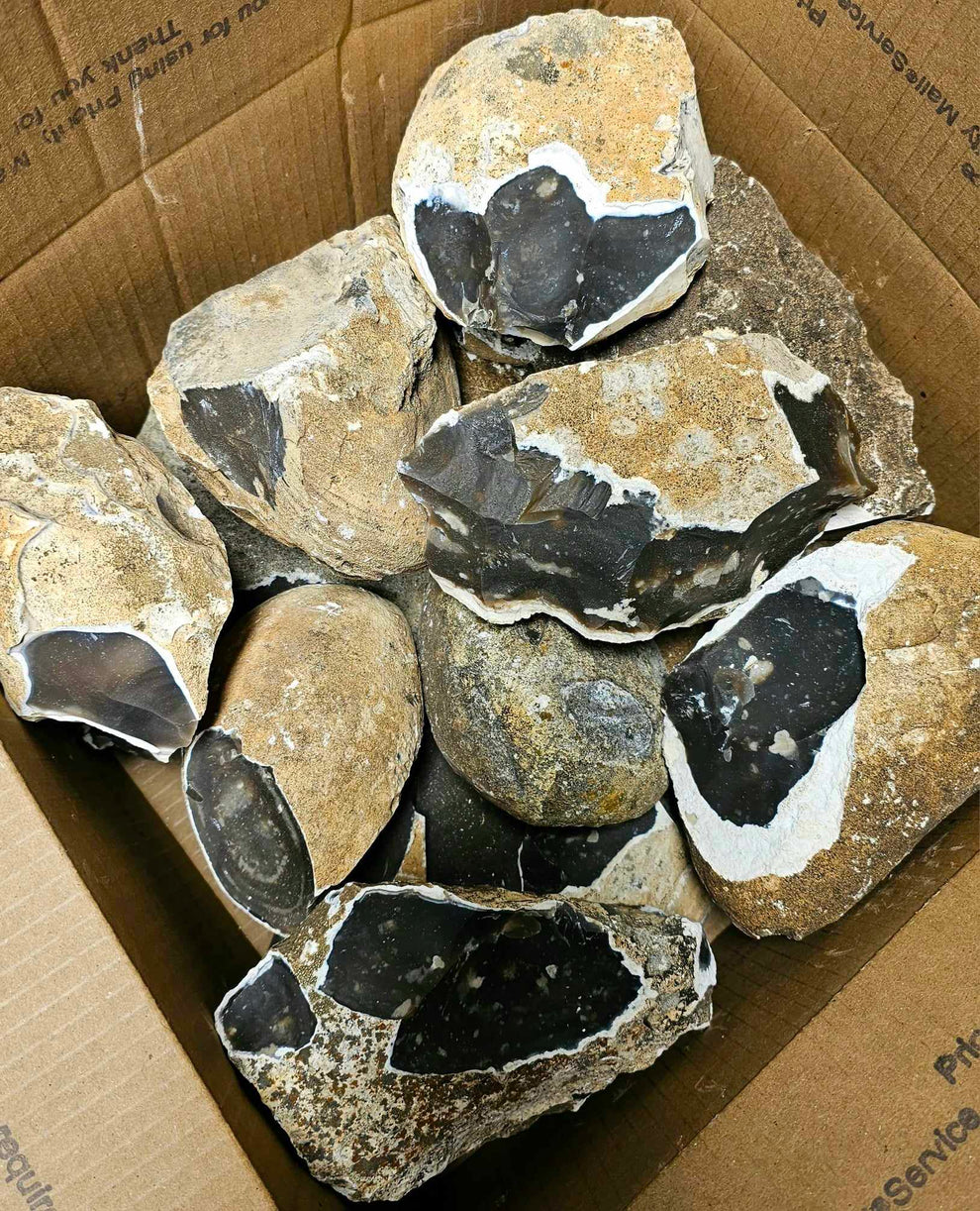 20+ Pounds Raw Texas Root Beer Flint, High Grade Flint, Flintknapping ...