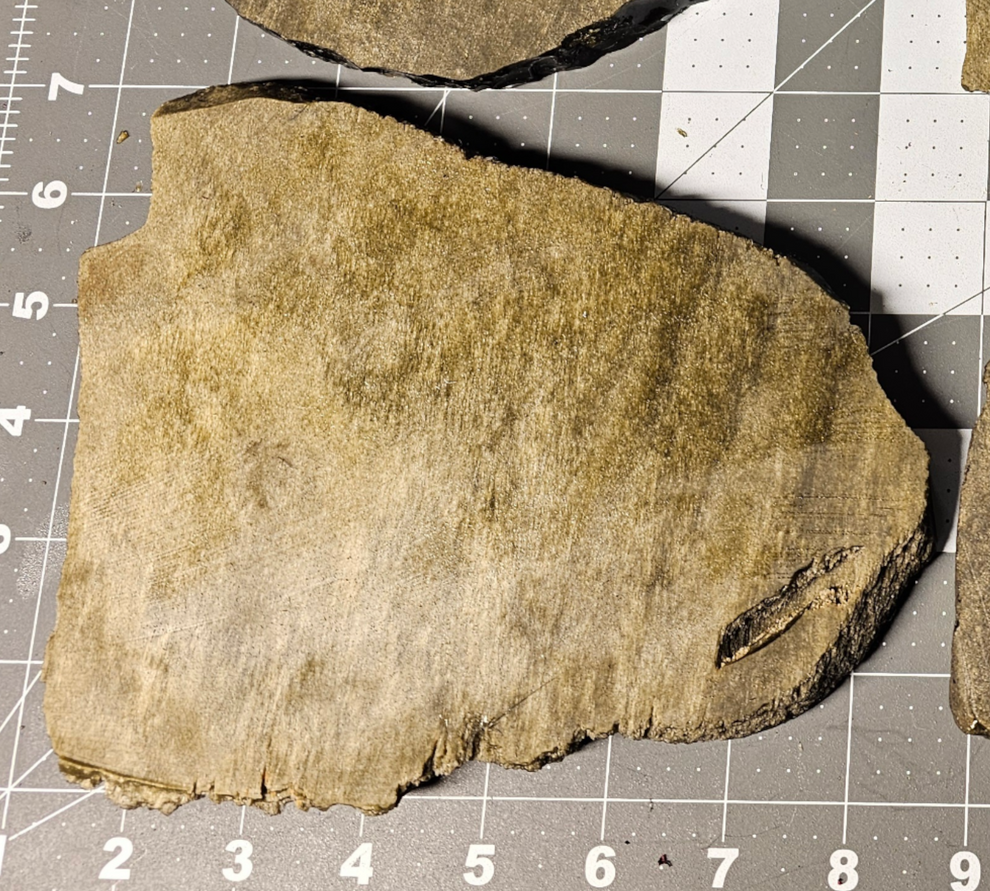 5" Minimum Order Gold Sheen Obsidian Percussion Slabs, Flintknapping S ...