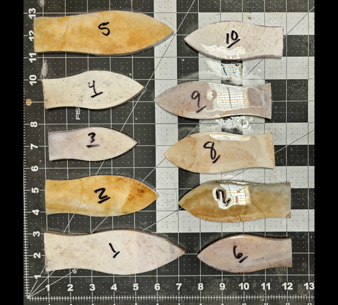 Page 1 , Agatized Coral Simpson / Beaver Lake Performs,Flintknapping S ...